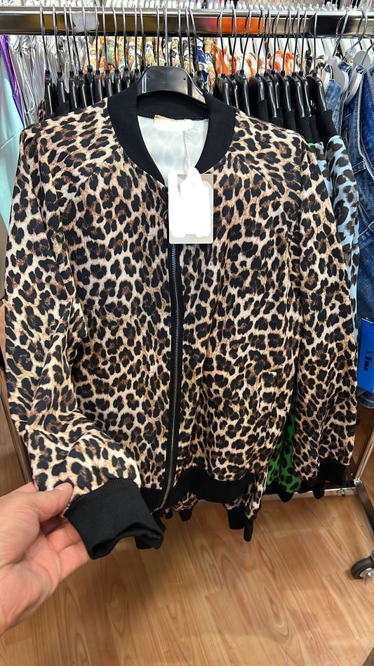 Jackets/Blazer – Strive fashion